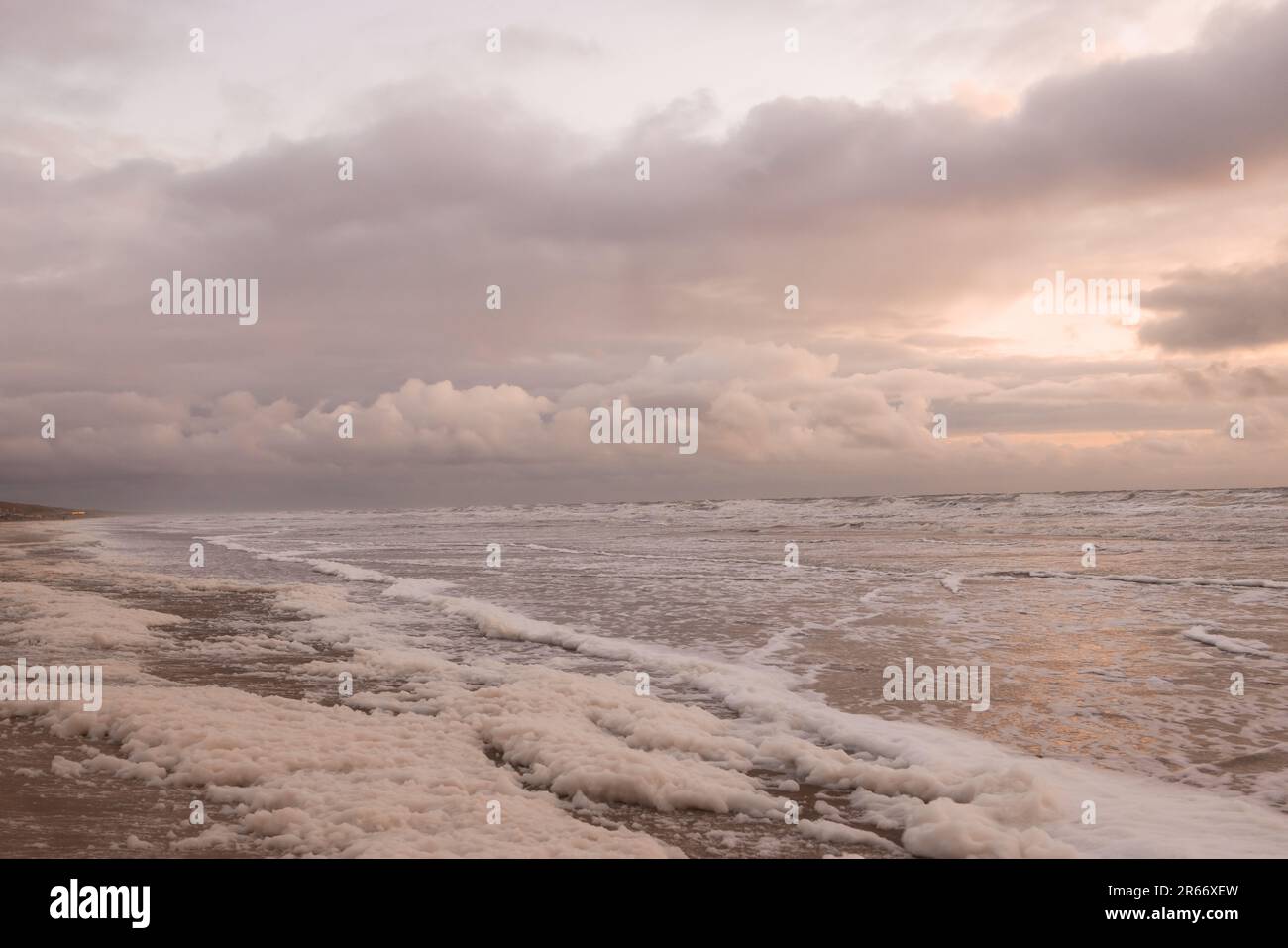 Plankton bubble hi-res stock photography and images - Alamy