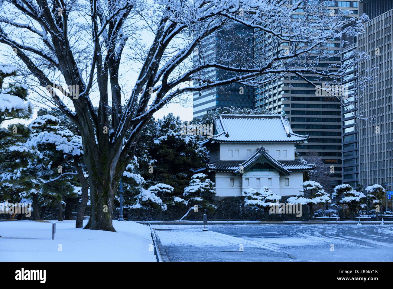 Snowy view of Edo Castle Stock Photo - Alamy