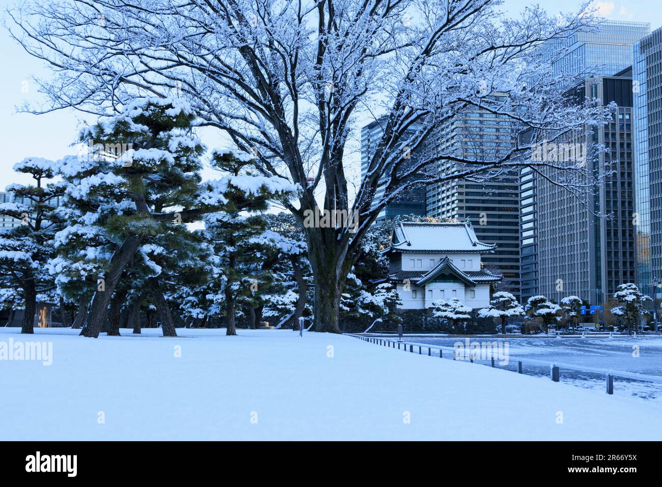 Snowy view of Edo Castle Stock Photo - Alamy