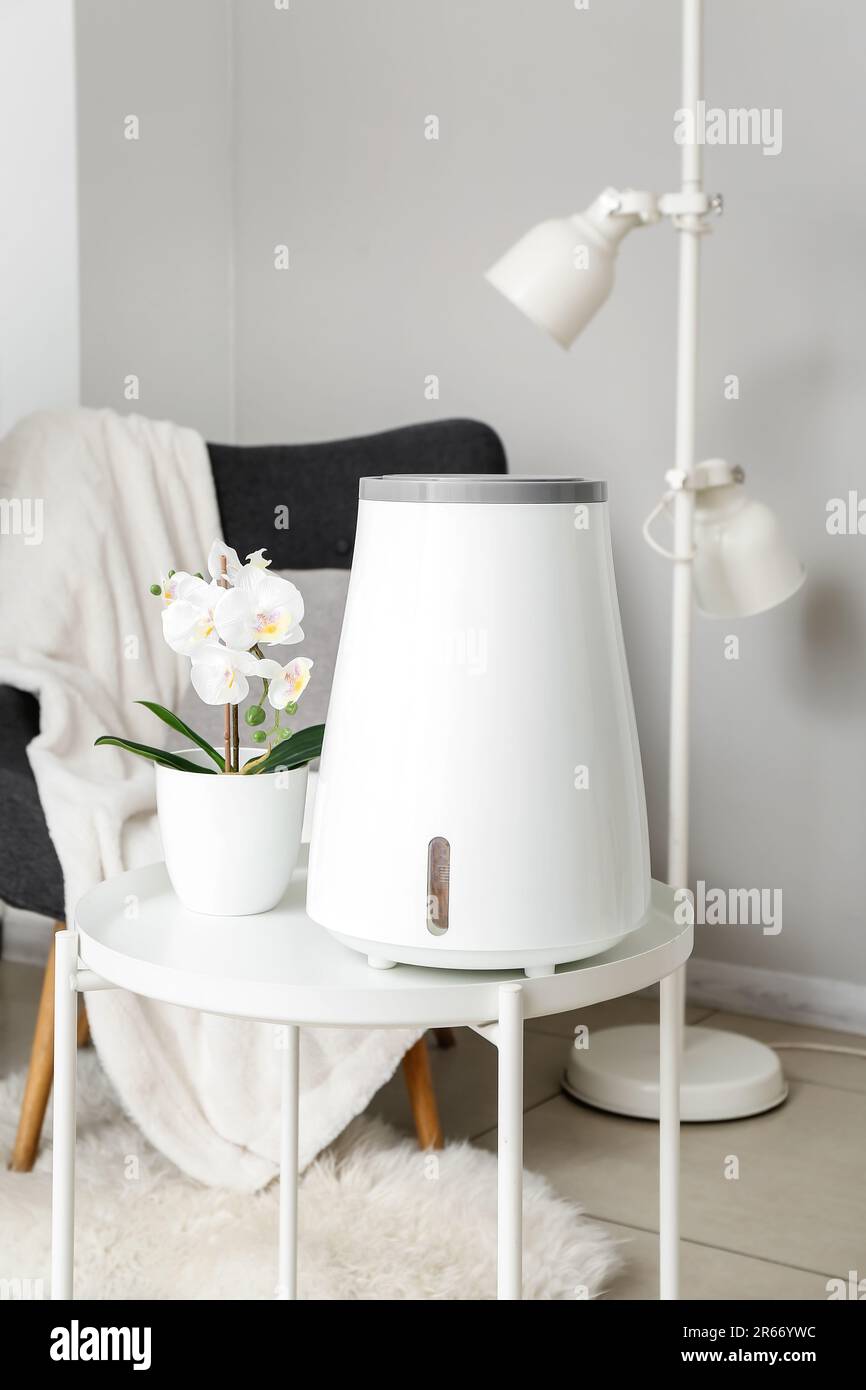 Modern humidifier and flowers in pot on table in interior of living ...