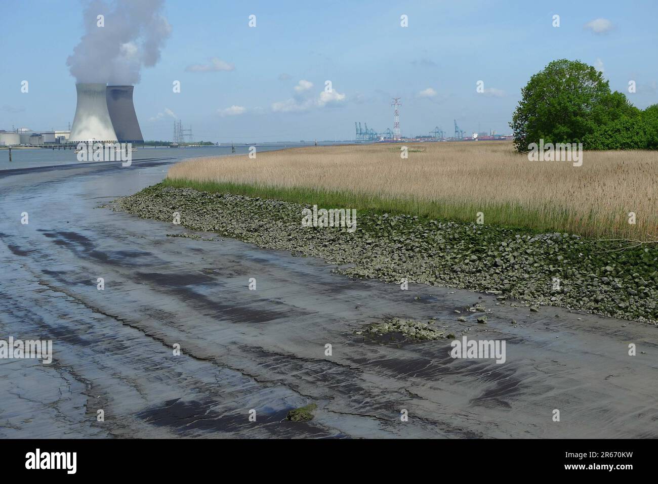 Lillo at the schelde River in Belgium Stock Photo - Alamy
