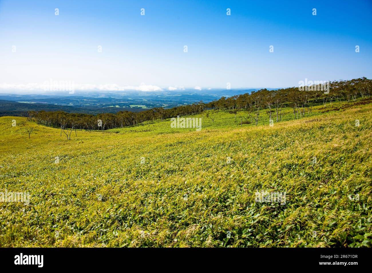 Grassland of Mt. Mashu (Akan-Mashu National Park Stock Photo - Alamy