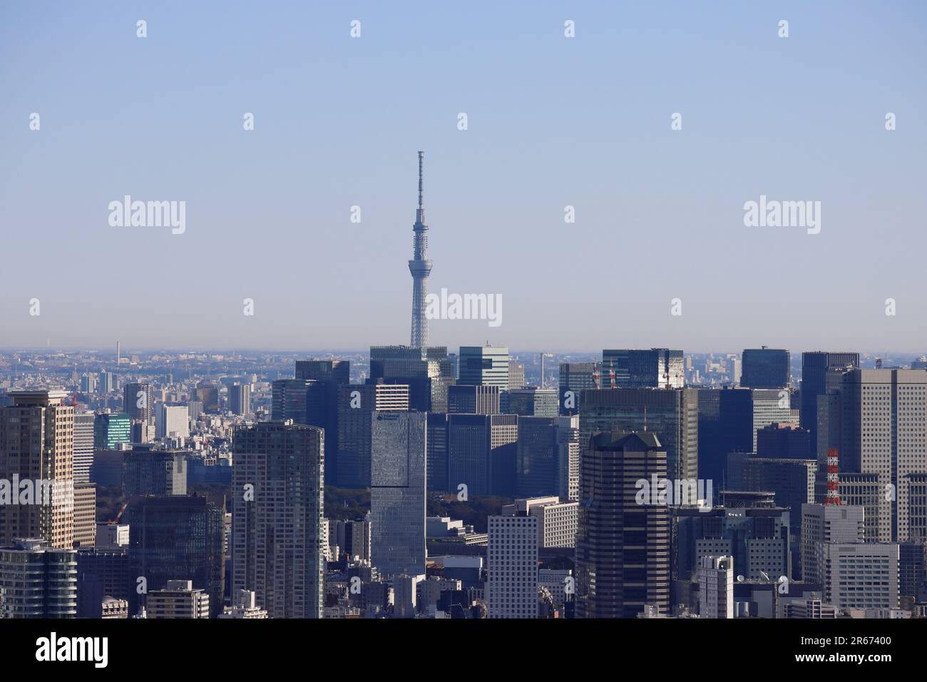 Tokyo Sky Tree seen from Shibuya Stock Photo - Alamy