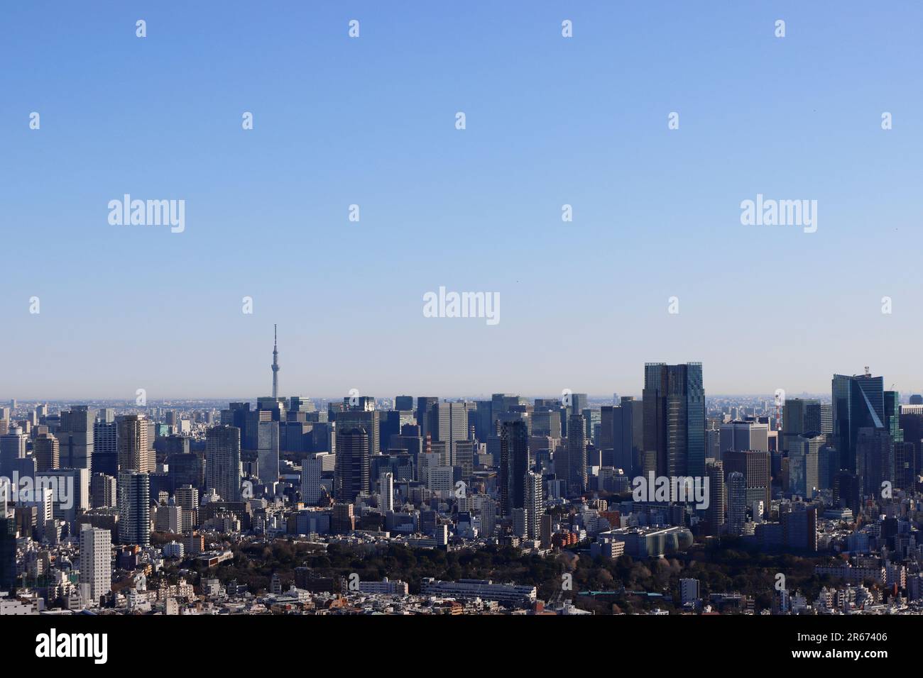 Tokyo Sky Tree seen from Shibuya Stock Photo - Alamy