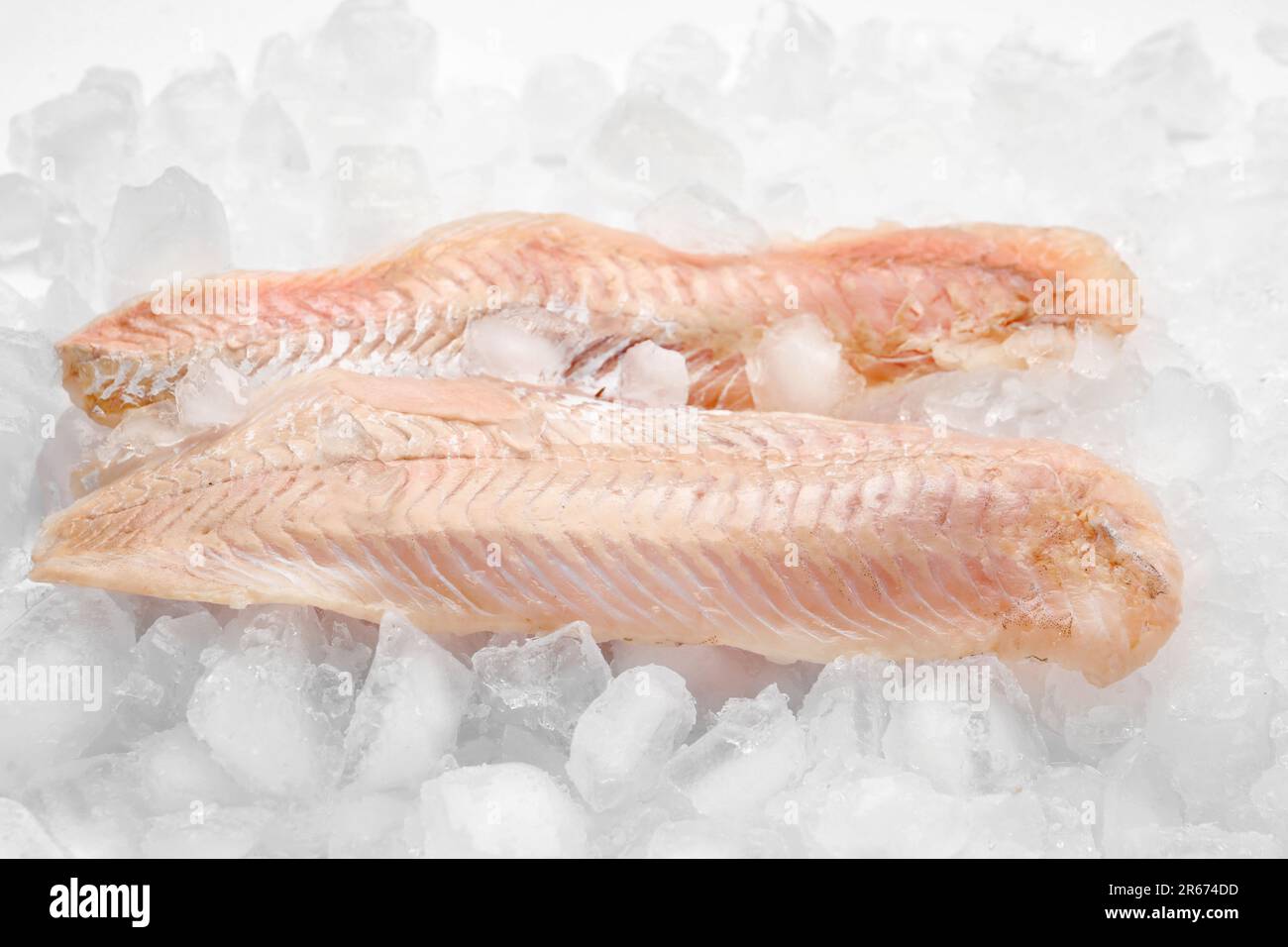 Raw codfish with ice cubes on white background Stock Photo - Alamy