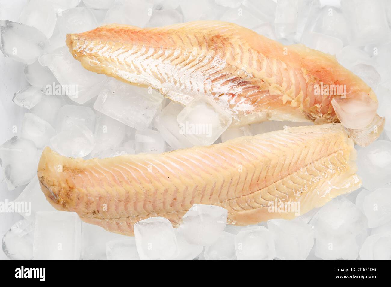 Raw codfish fillet with ice cubes on white background Stock Photo - Alamy