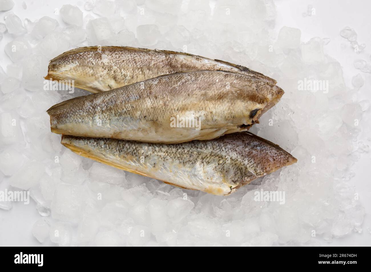 Atlantic cod and ice hi-res stock photography and images - Alamy
