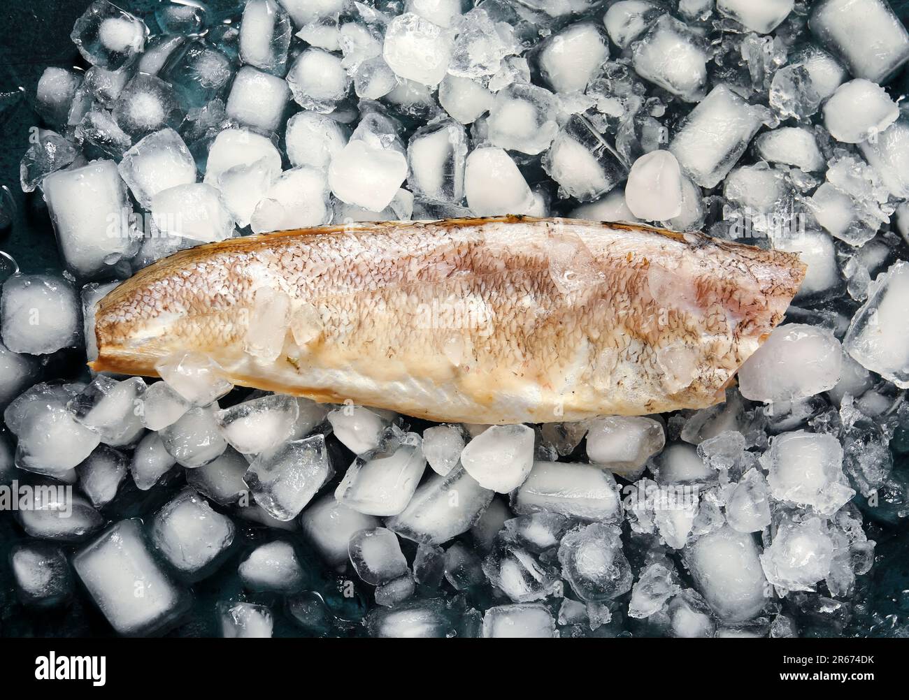 Raw codfish with ice cubes on dark background Stock Photo - Alamy
