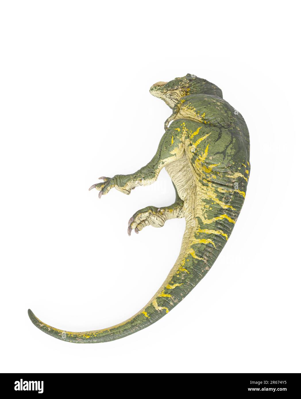 tyrannosaurus rex is dead in white background top rear view, 3d ...