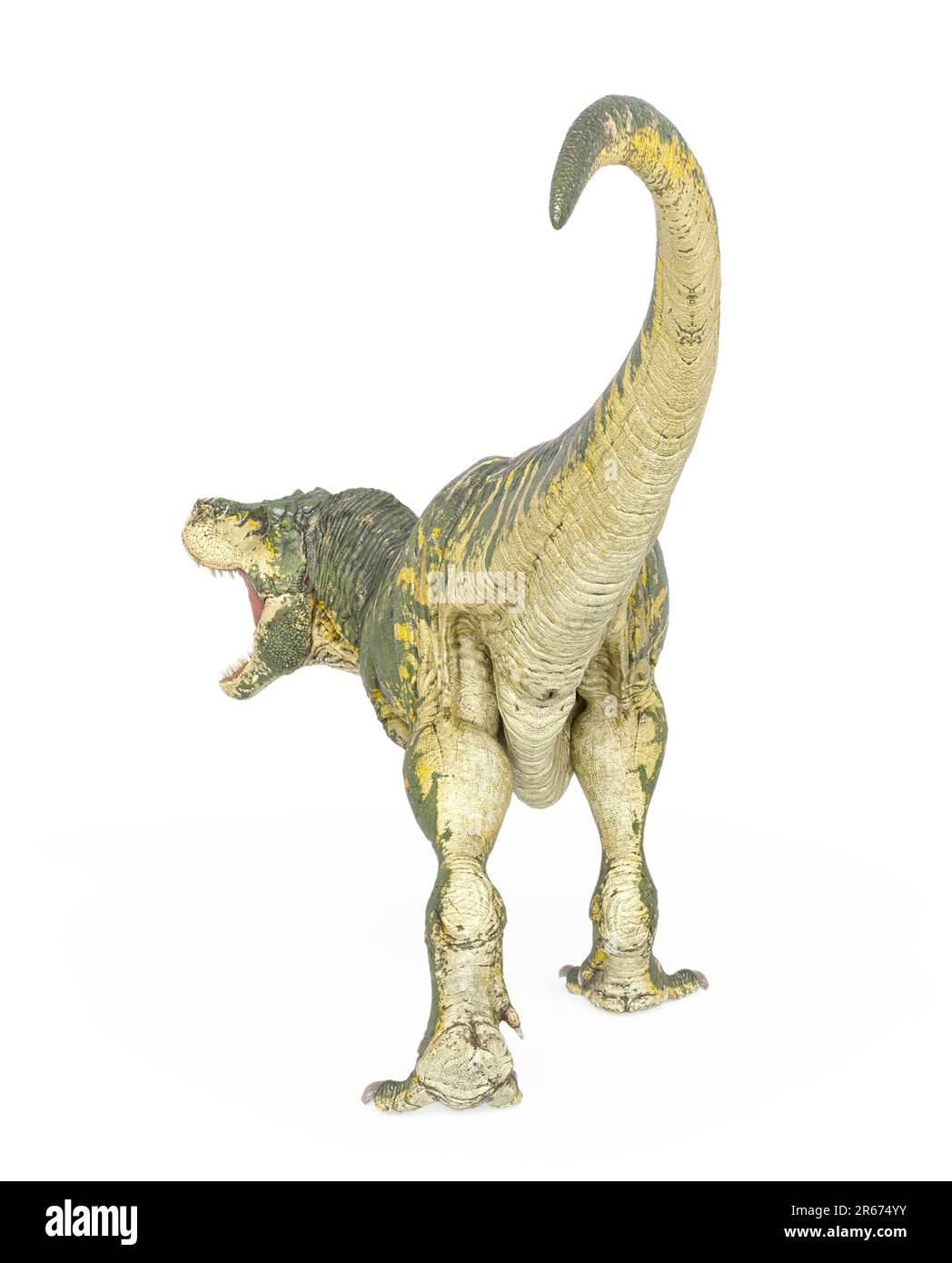 tyrannosaurus rex is walking like a king in white background rear view ...