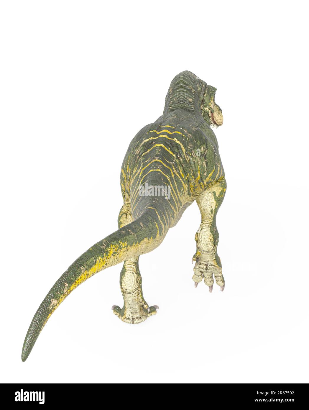 tyrannosaurus rex is walking like a king in white background top rear ...