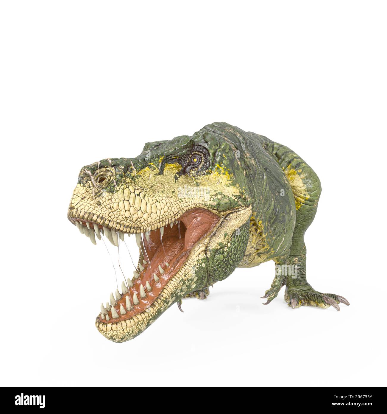 tyrannosaurus rex is getting ready to jump in white background, 3d ...