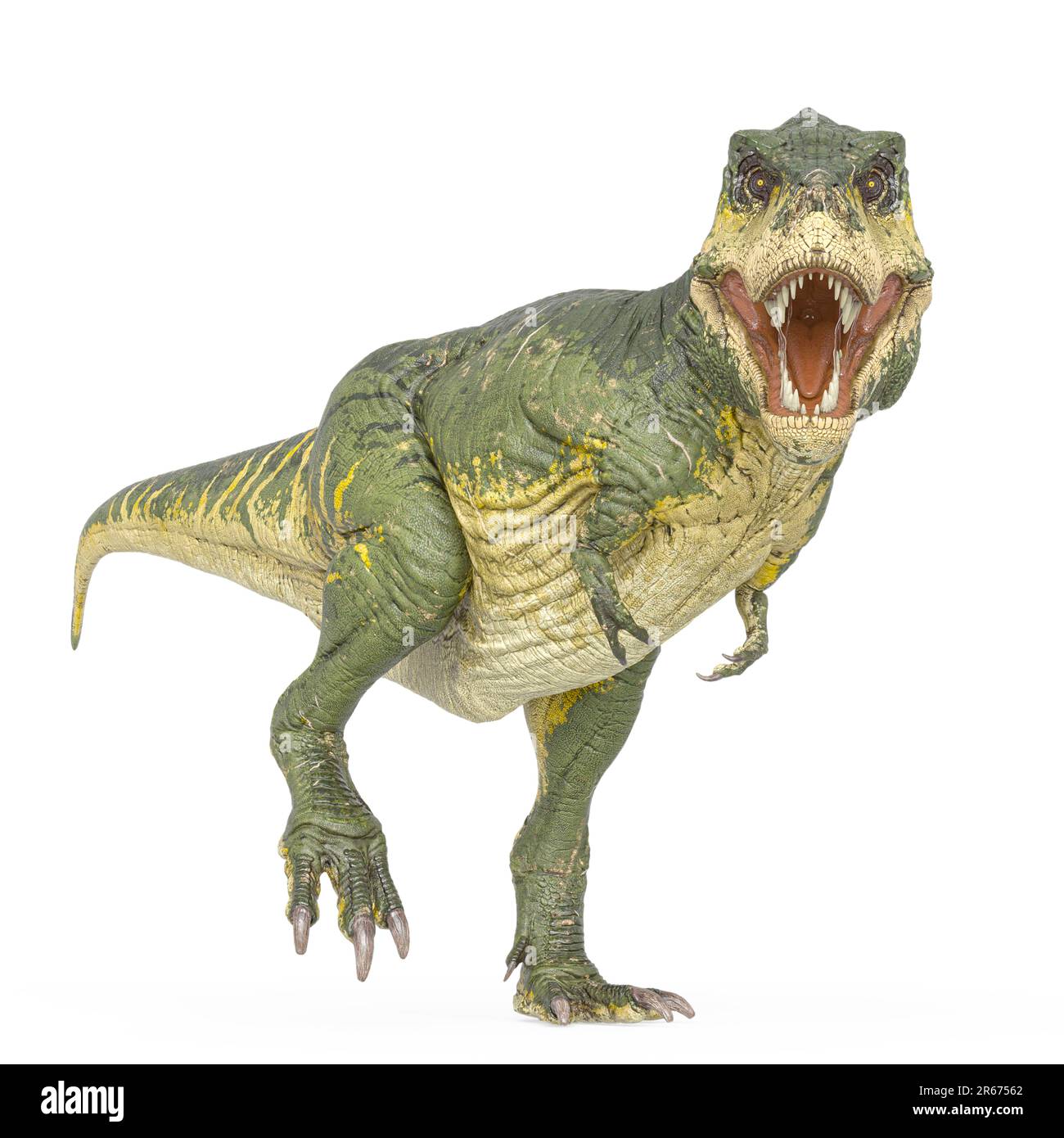 tyrannosaurus rex is walking and staring you in white background, 3d ...