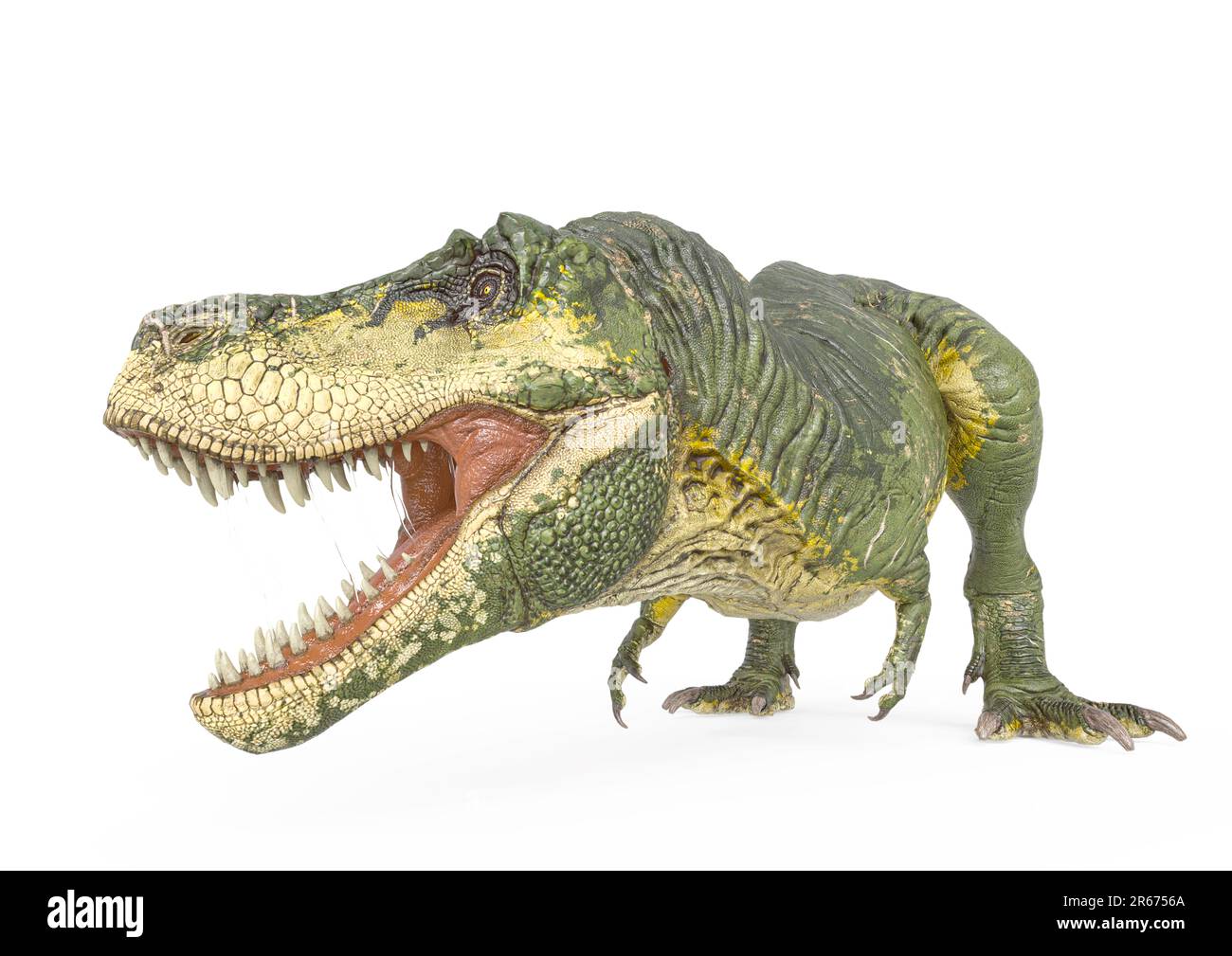 tyrannosaurus rex is looking to the side in white background, 3d ...
