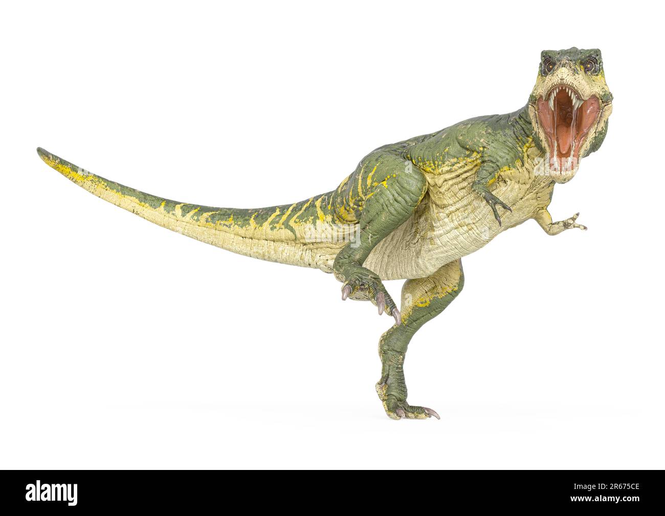 tyrannosaurus rex is walking slowly in white background, 3d ...