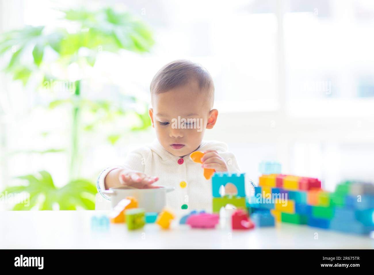 Adorable Asian baby boy playing with colorful blocks toy in white sunny ...
