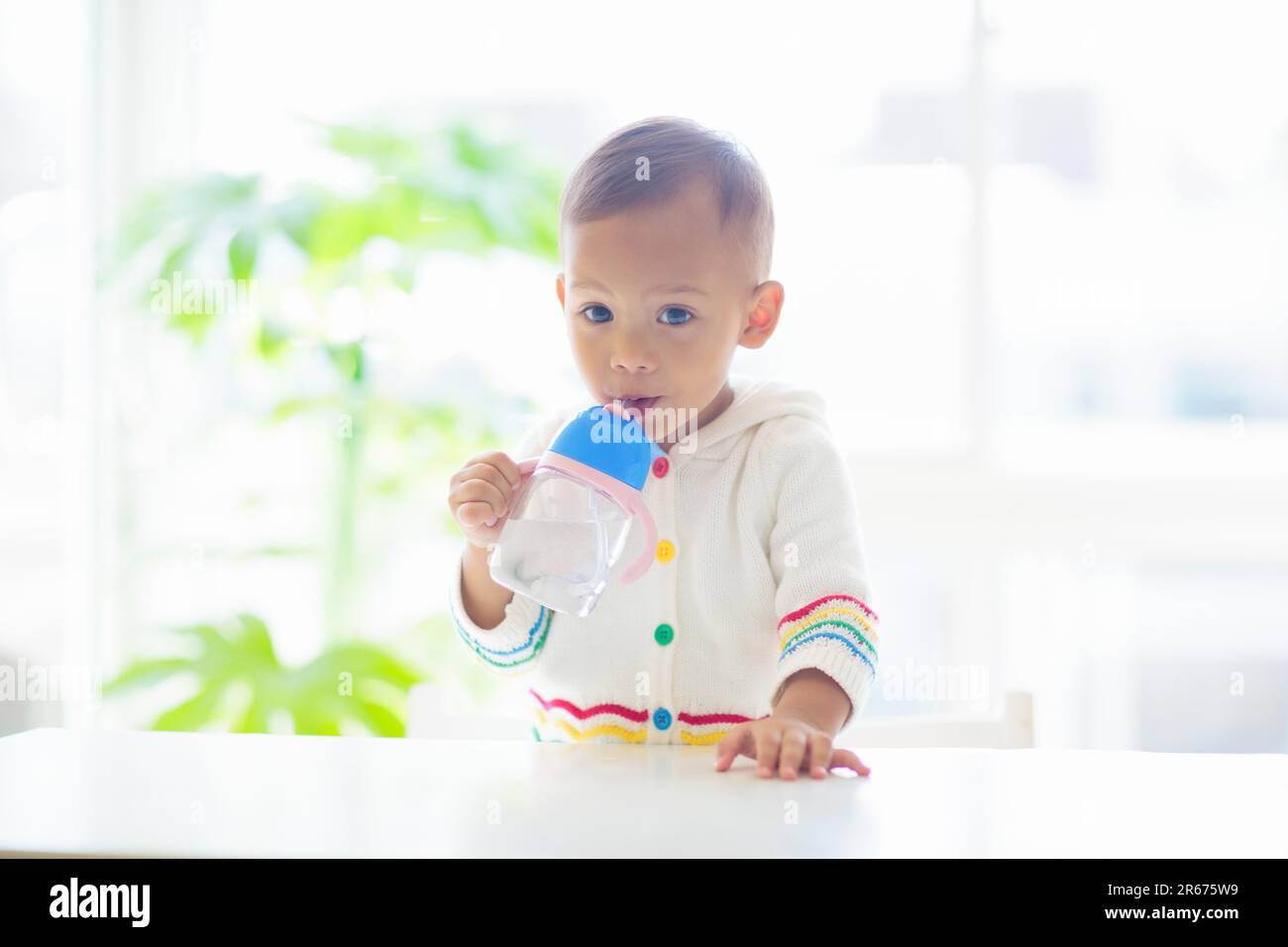 Baby eating and drinking in high chair. Asian baby boy with water ...