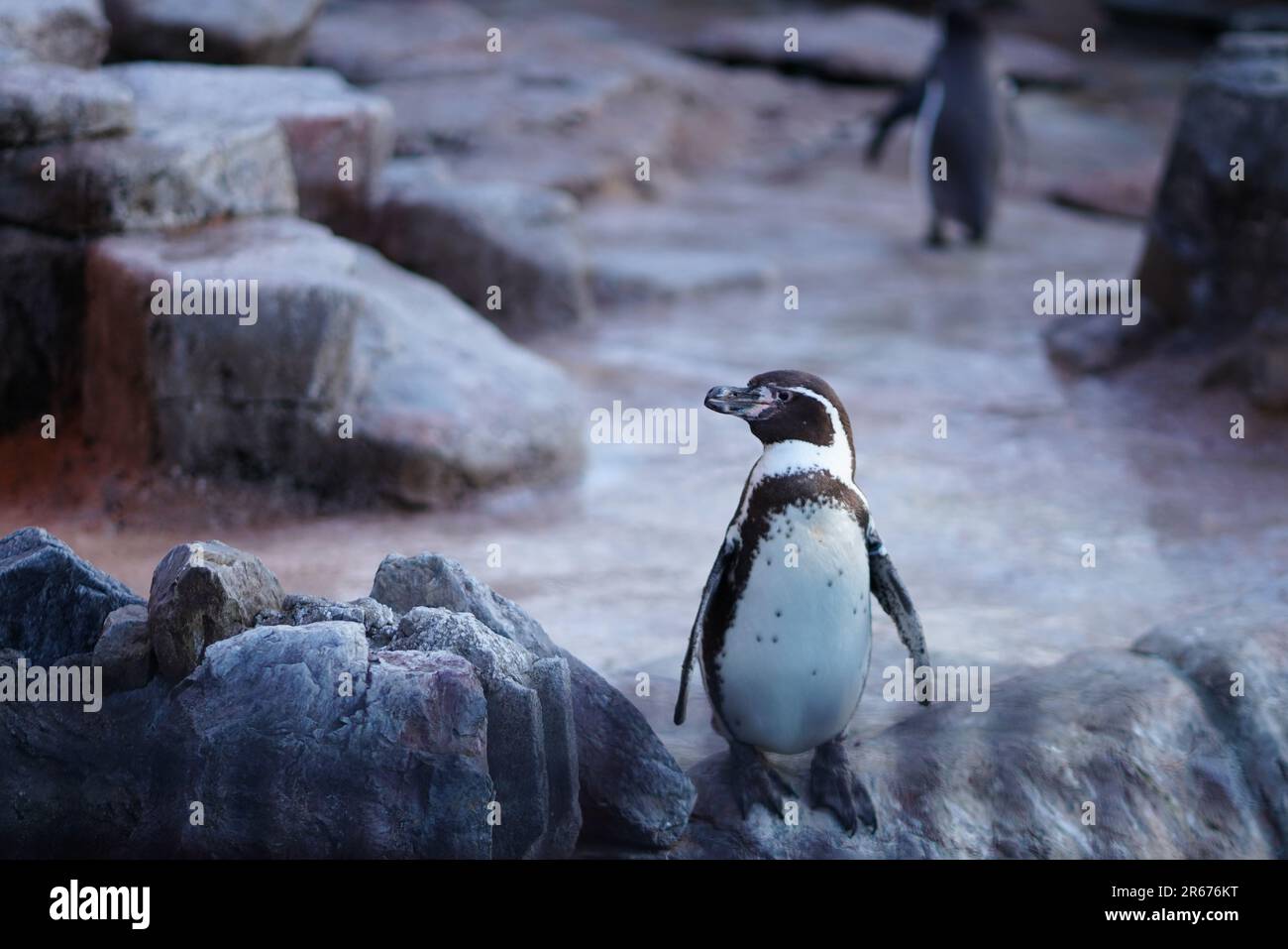 Turning sideways hi-res stock photography and images - Alamy