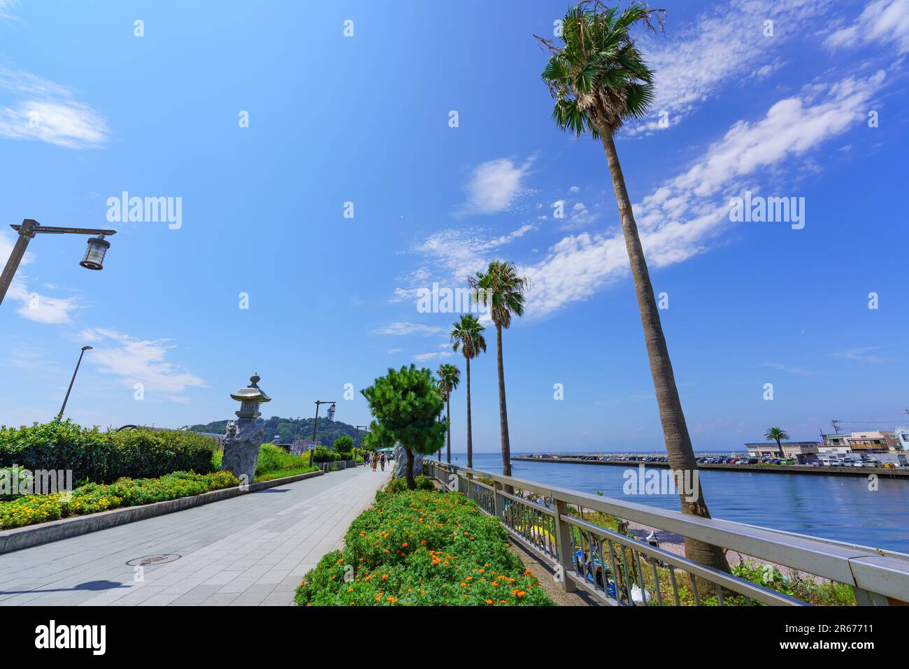 Palm trees and Enoshima Benten Bridge Stock Photo - Alamy