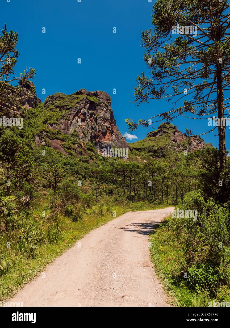 Morro dos Cabritos canyon with trees, rock and road in Santa Catarina ...