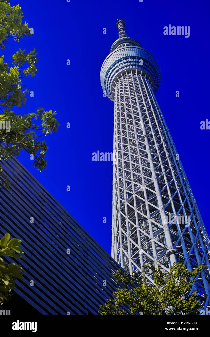 Tokyo Sky Tree Stock Photo - Alamy