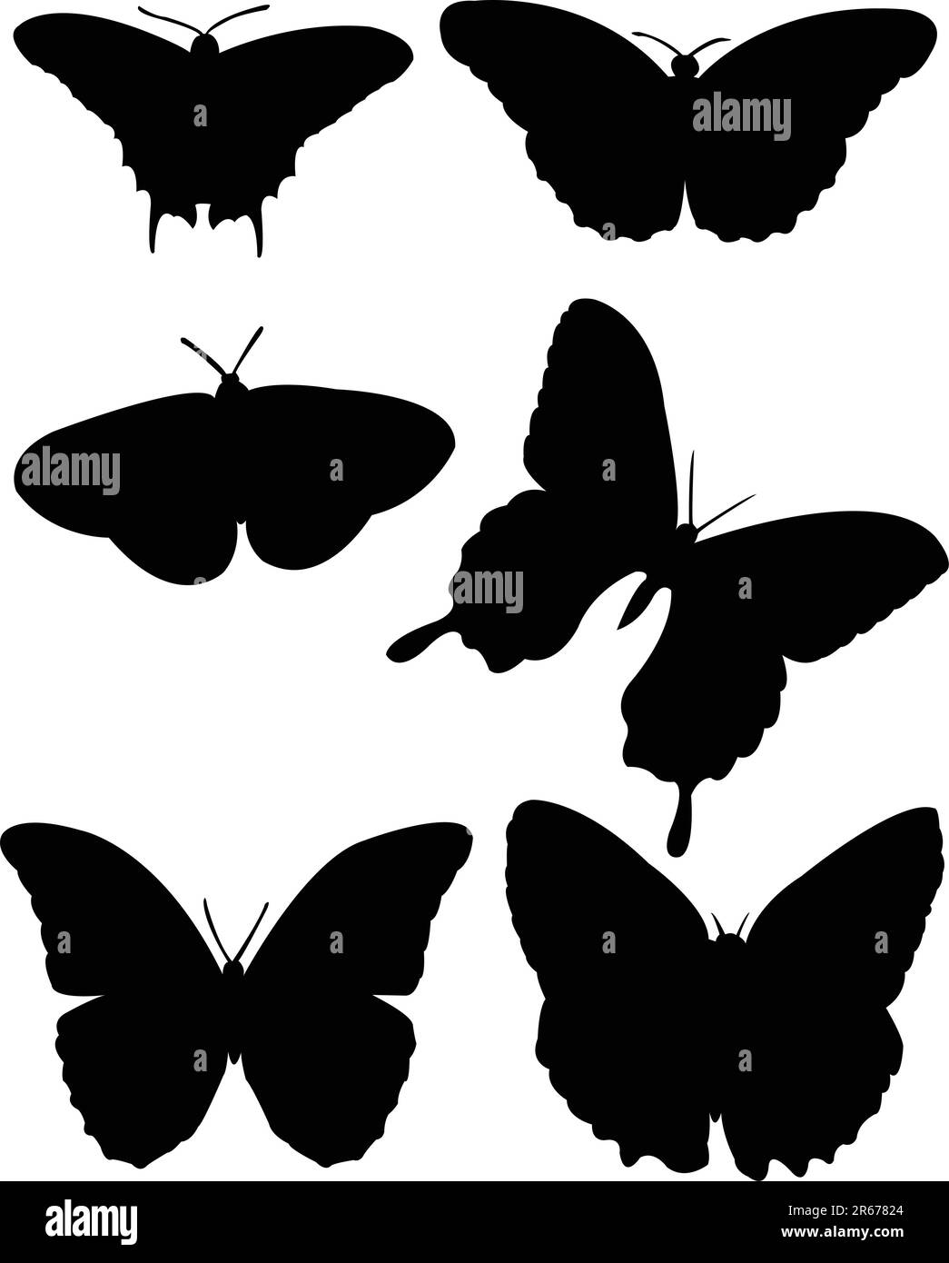 collection of butterfly silhouette - vector Stock Vector Image & Art ...
