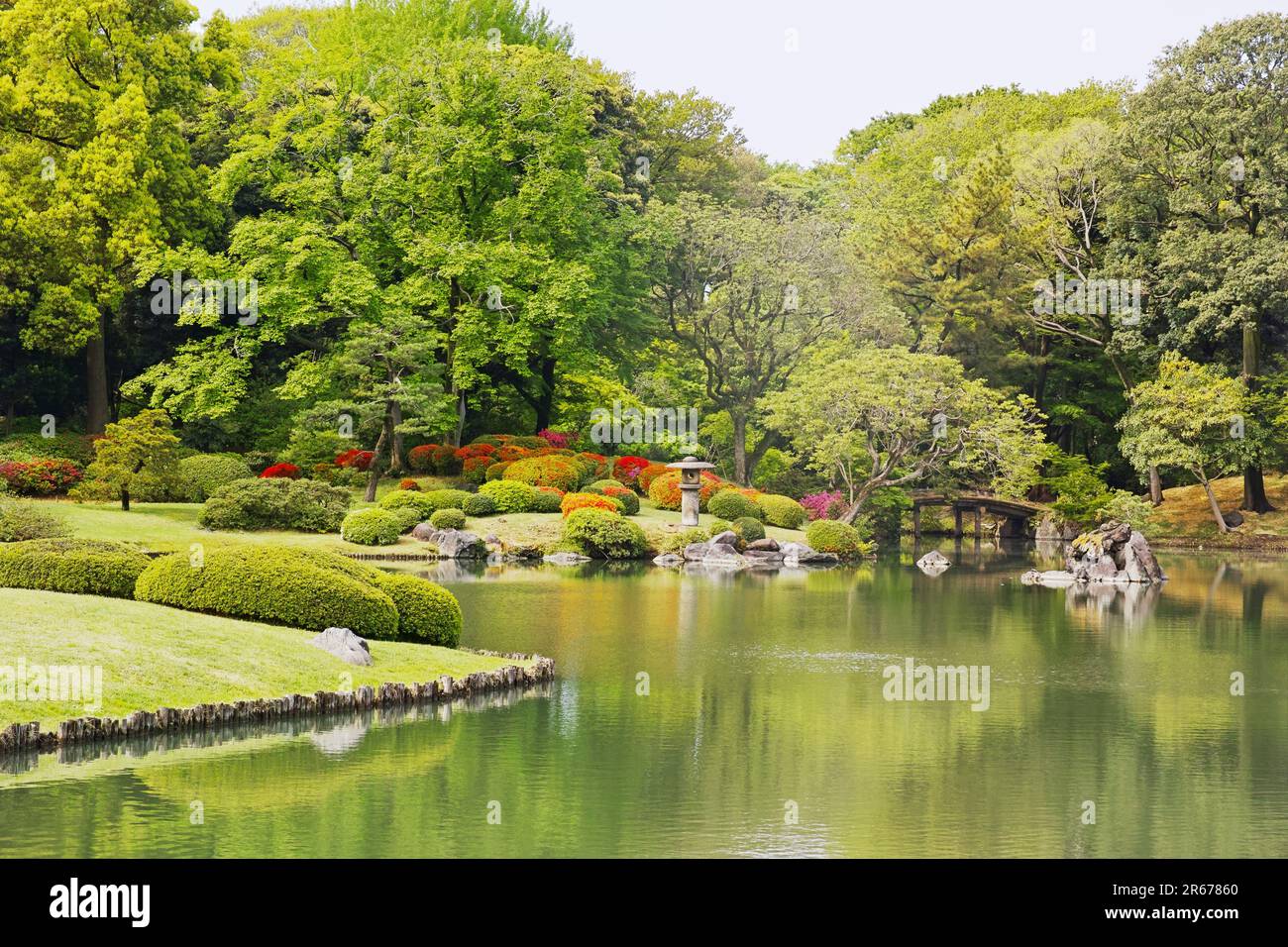 Rikugien blooming azalea Stock Photo - Alamy
