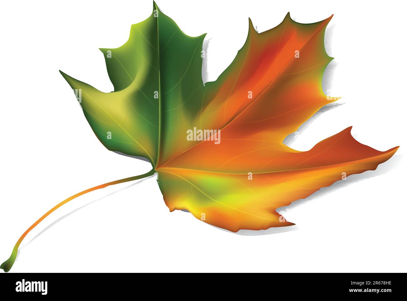 autumn editable vector leaf Stock Vector Image & Art - Alamy