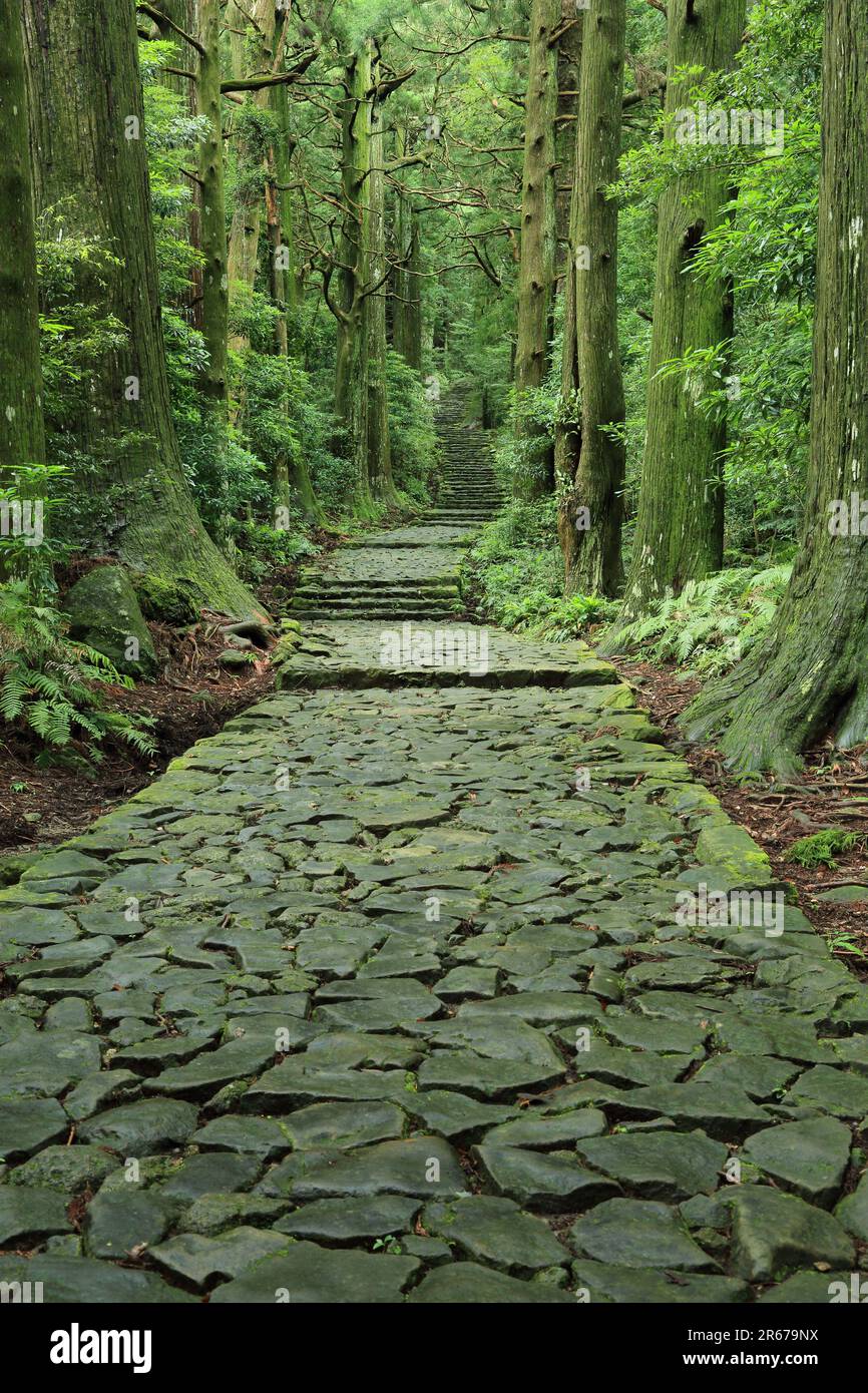 Kumano Ancient road Daimon slope Stock Photo - Alamy