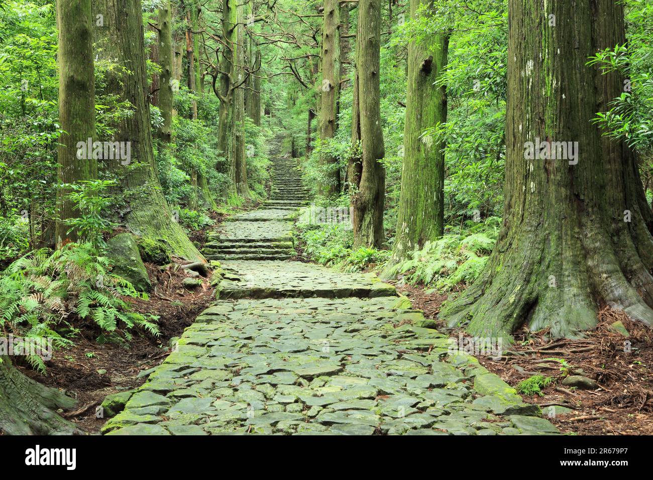Daimon slope hi-res stock photography and images - Alamy