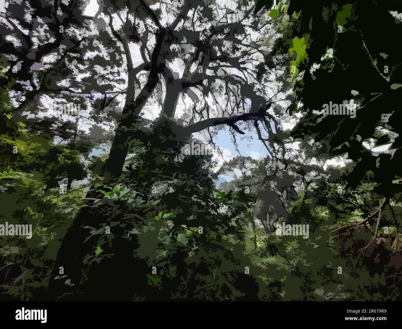 Mesmerizing tree art hi-res stock photography and images - Alamy