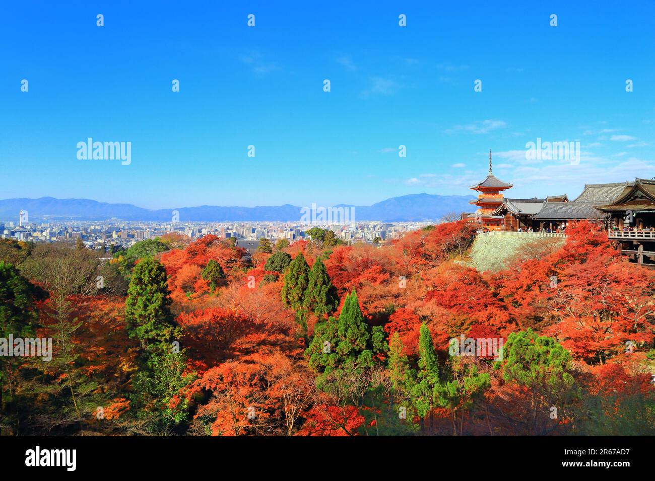 Autumn foliage of Kiyomizudera temple Stock Photo - Alamy