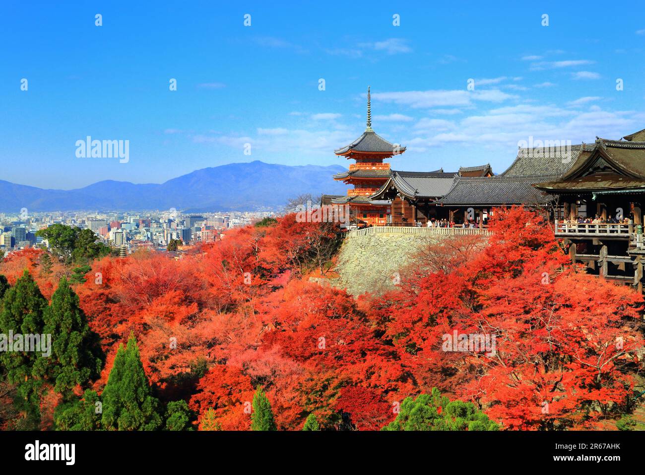 Autumn foliage of Kiyomizudera temple Stock Photo - Alamy