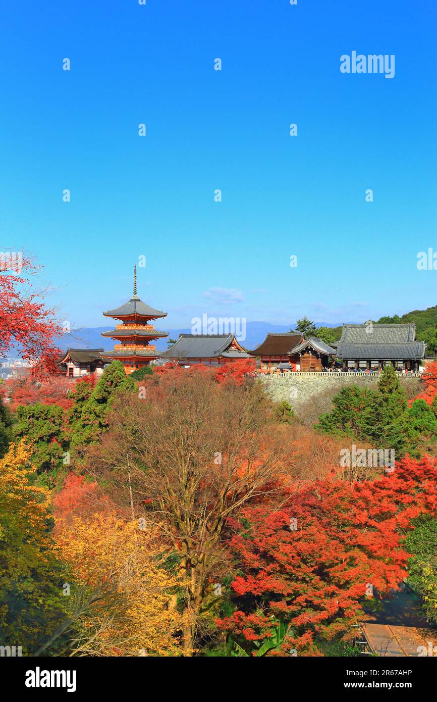 Autumn foliage of Kiyomizudera temple Stock Photo - Alamy