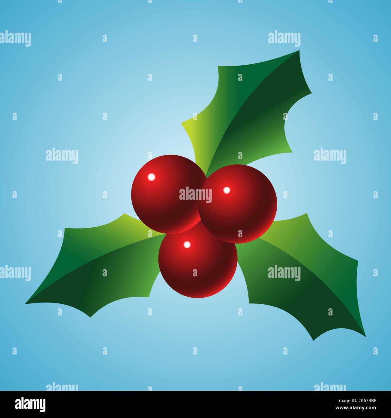 Holly sprig on blue background vector illustration Stock Vector Image ...