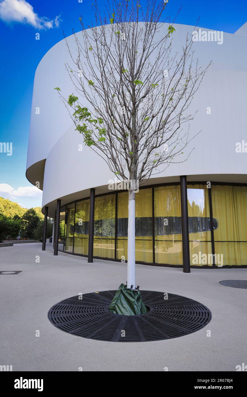 A beautiful white tree is placed in front of an office building ...