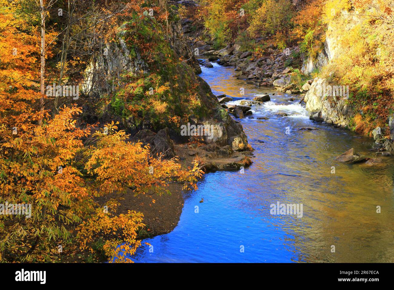 Jozankei in autumn leaves Stock Photo - Alamy