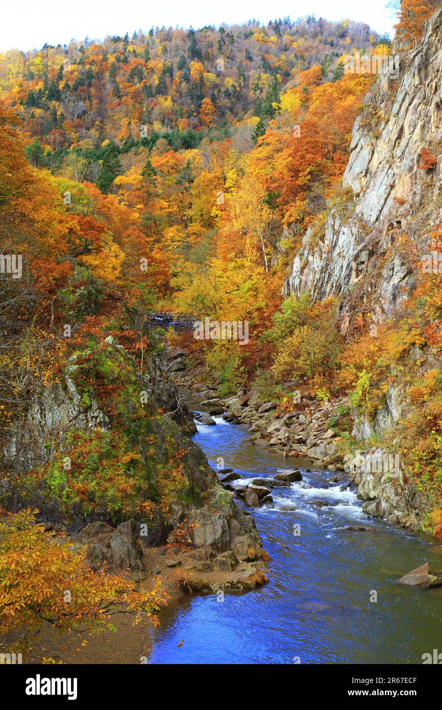 Jozankei in autumn leaves Stock Photo - Alamy