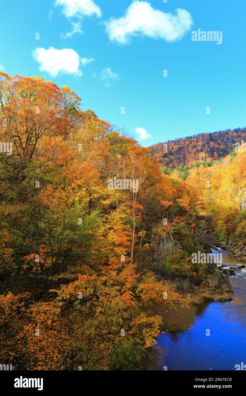 Hot spring in sapporo hi-res stock photography and images - Alamy