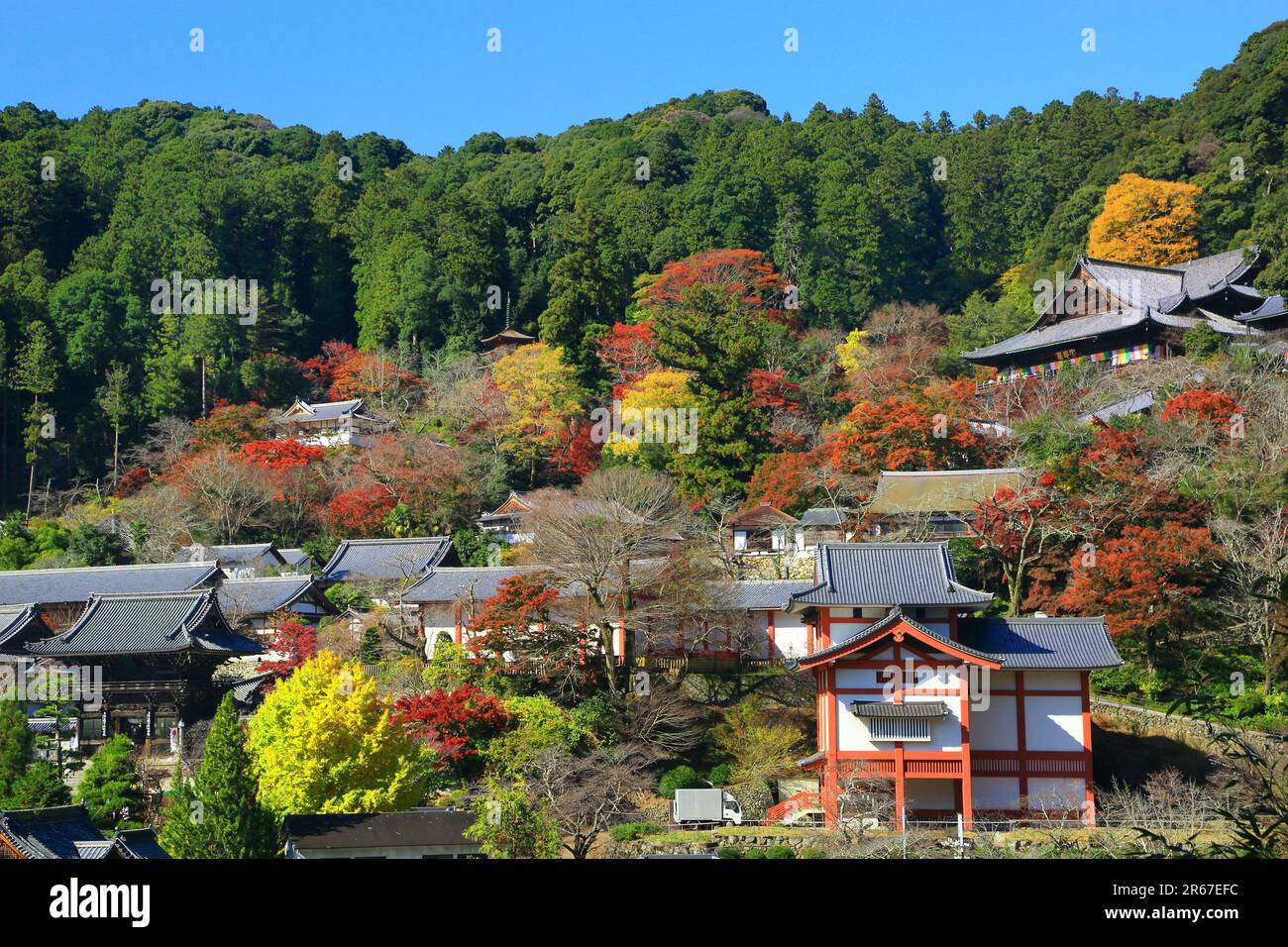 Leaves long Valley Temple Stock Photo - Alamy