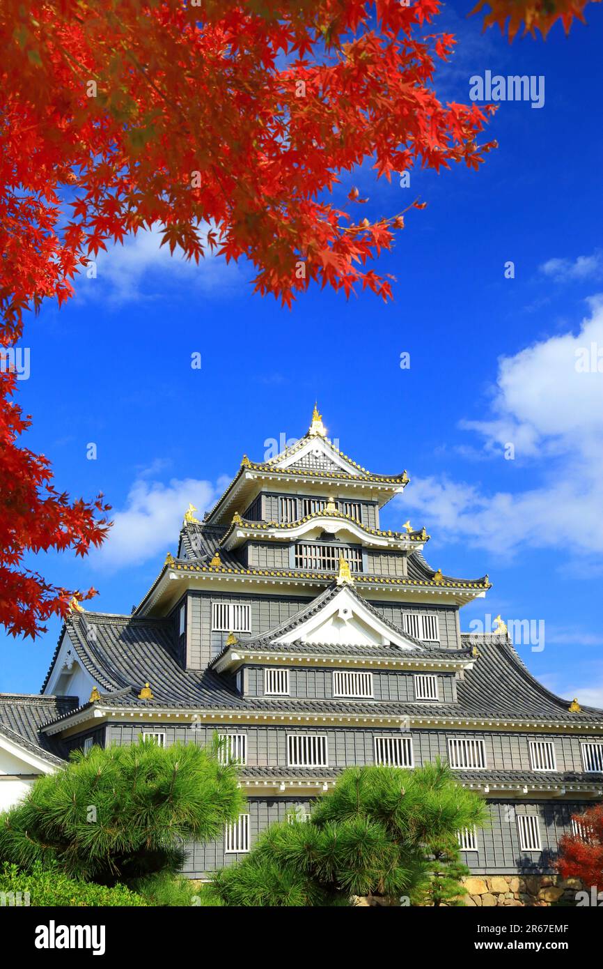 Okayama Castle in autumn Stock Photo - Alamy