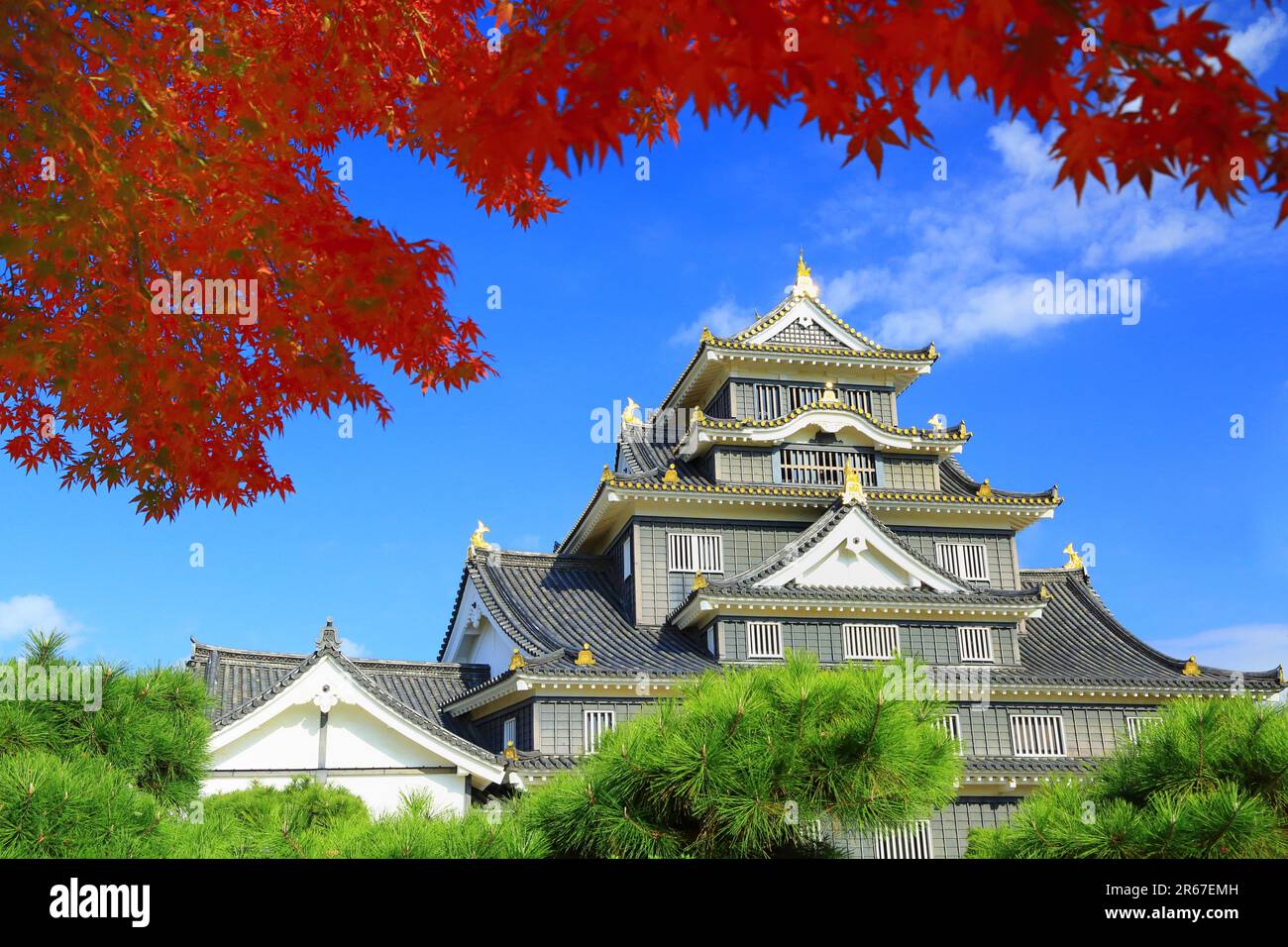 Kinujo castle hi-res stock photography and images - Alamy
