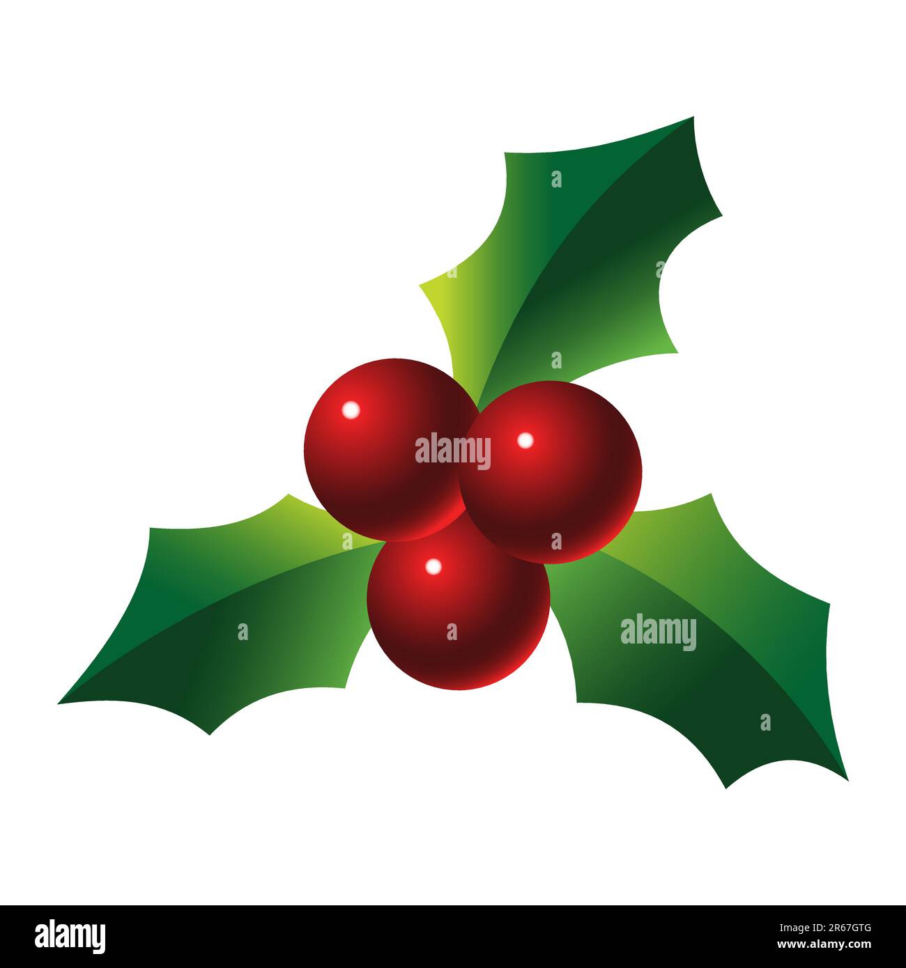 Holly sprig on white background vector illustration Stock Vector Image ...