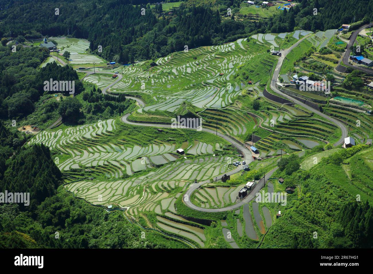Maruyama rice terrace Stock Photo - Alamy