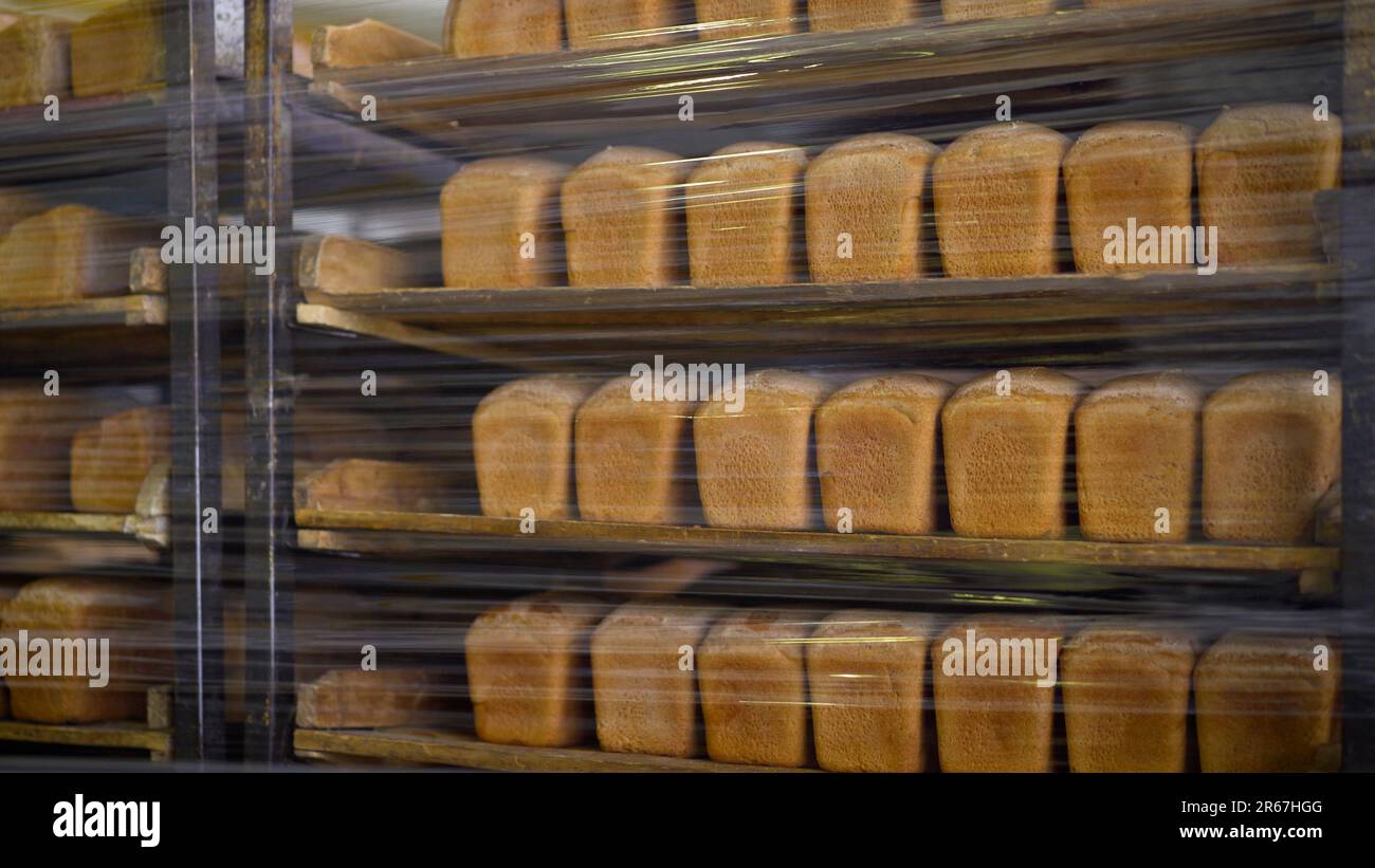 Shelves with fresh bread in a warehouse in an industrial bakery ...