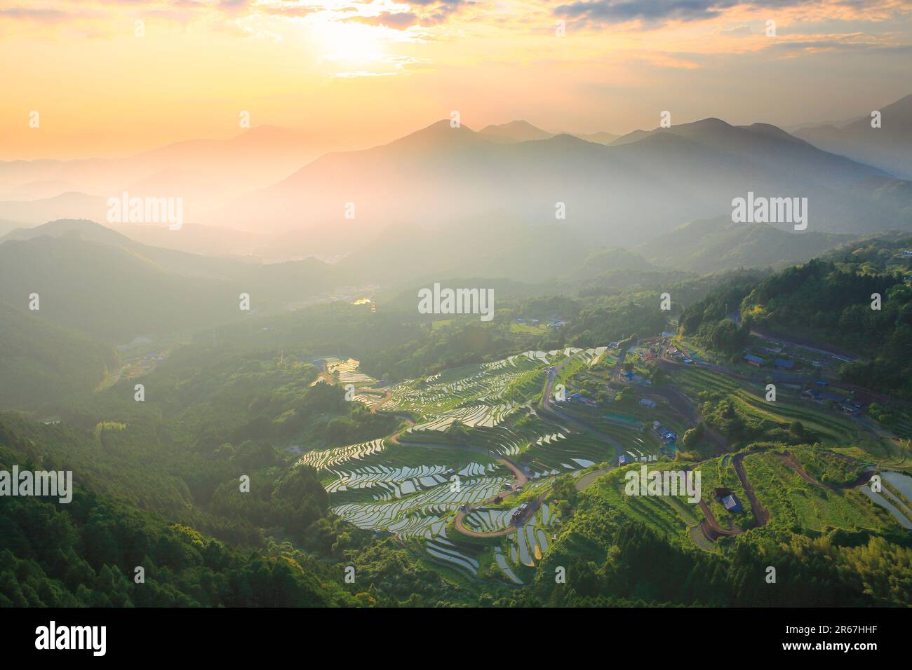 Maruyama rice terrace Stock Photo - Alamy