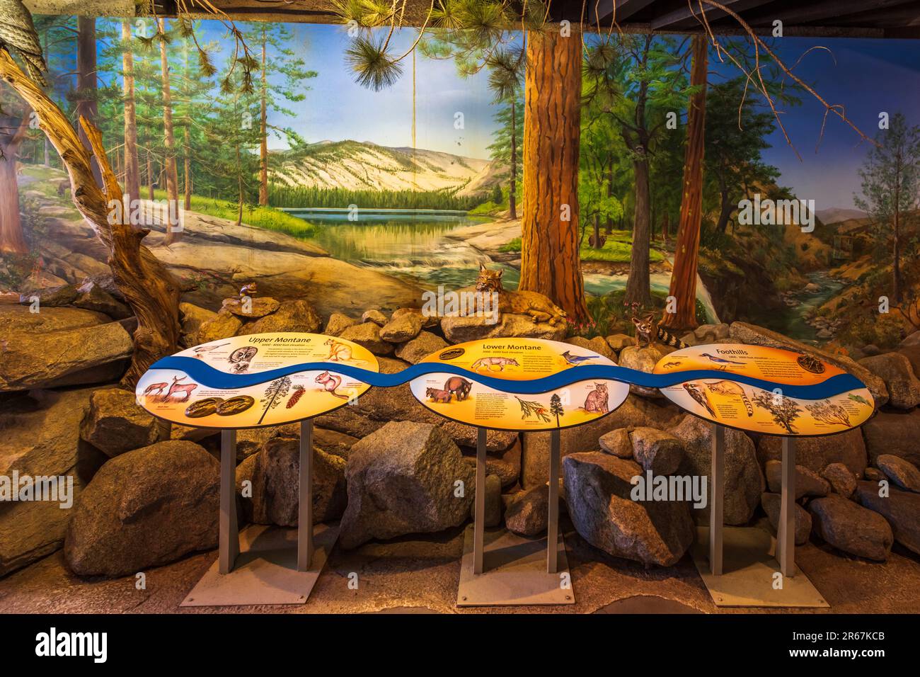 Interpretive display in the visitor center, Yosemite National Park ...