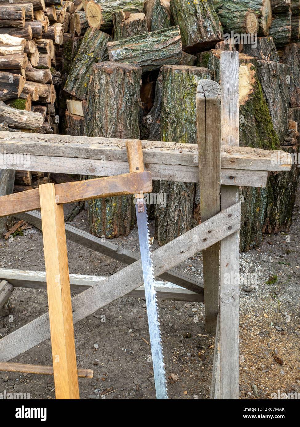 manual sawing of a log with a traditional wooden saw Stock Photo - Alamy