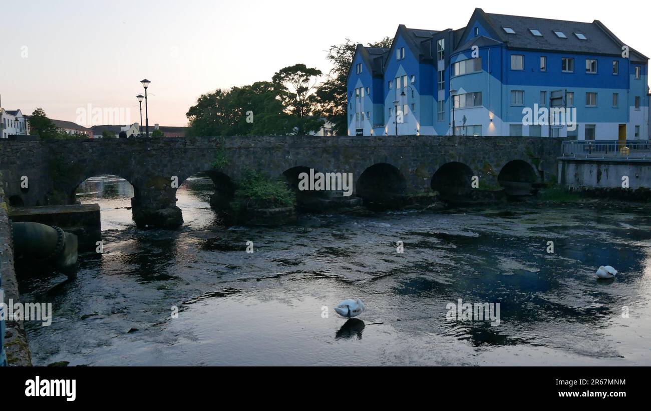 Historic stone bridge over the river at dusk with swans and colourful ...