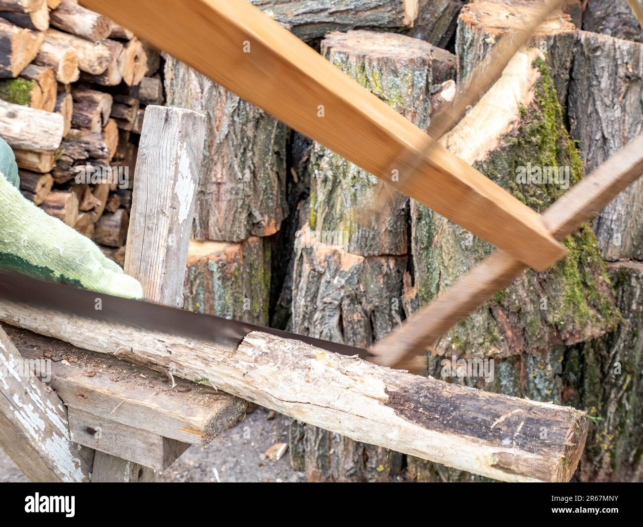 manual sawing of a log with a traditional wooden saw Stock Photo - Alamy